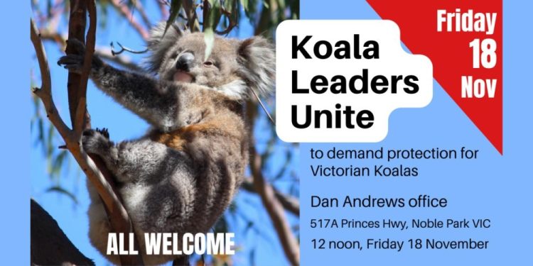 Public Rally for Victorian Koalas at Dan Andrews Office, November 18 ...