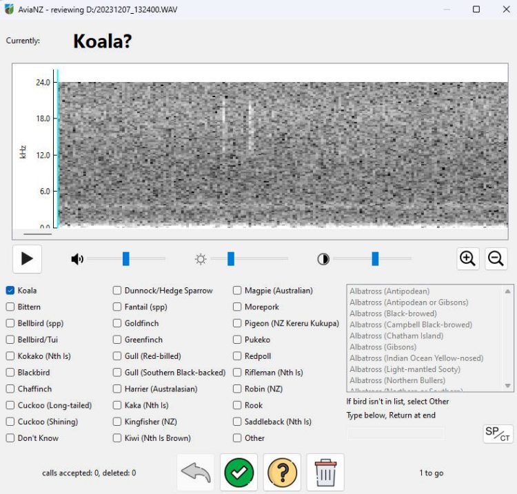 A step-by-step Guide to Audio Recorders For Koalas – Koala Clancy ...